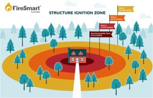 Decrease your home’s risk from wildfires: FireSmart BC and structural ...