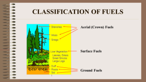 Understanding forest fuels – BC Wildfire Service