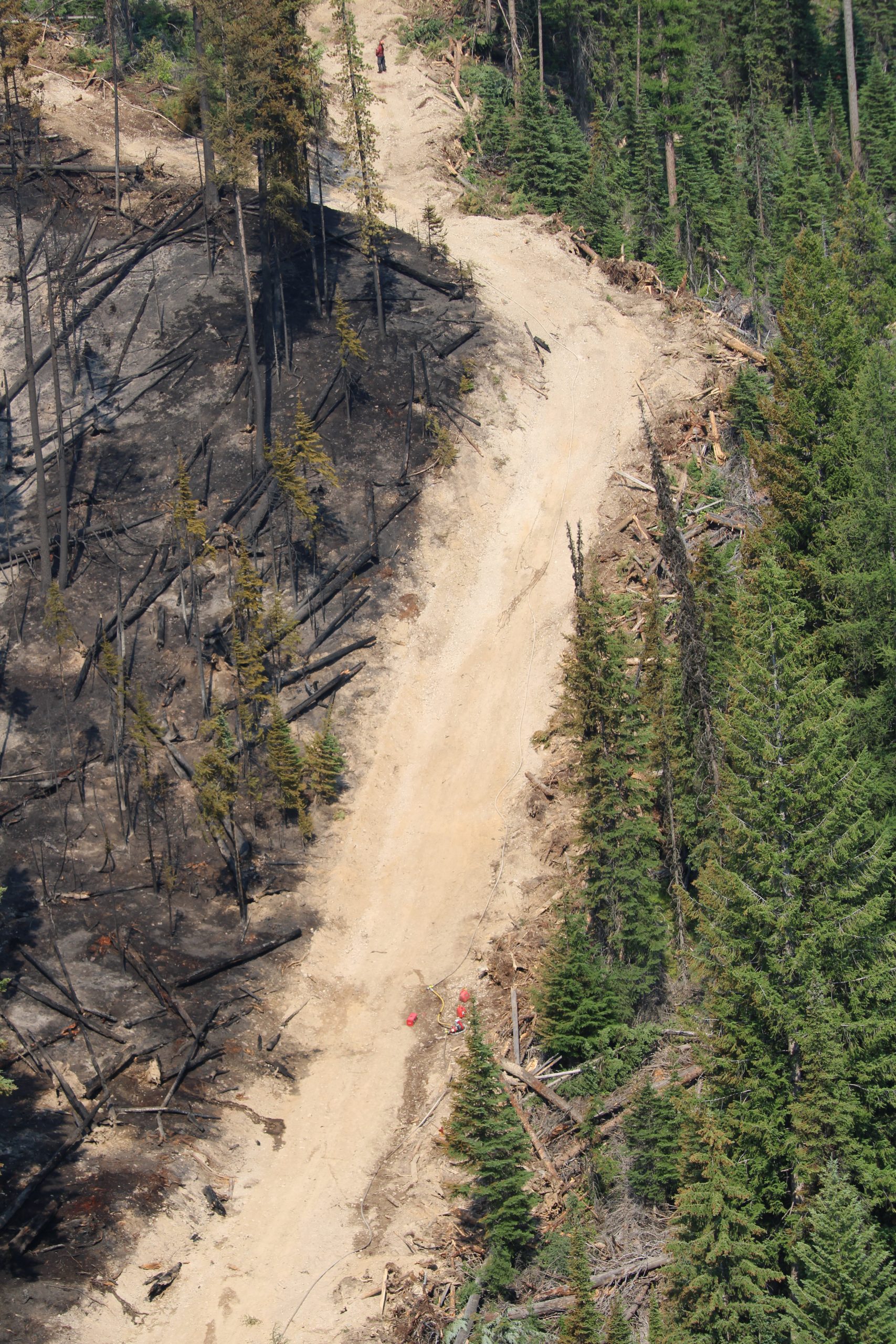 The purpose of test ignitions on the Connell Ridge wildfire – BC ...