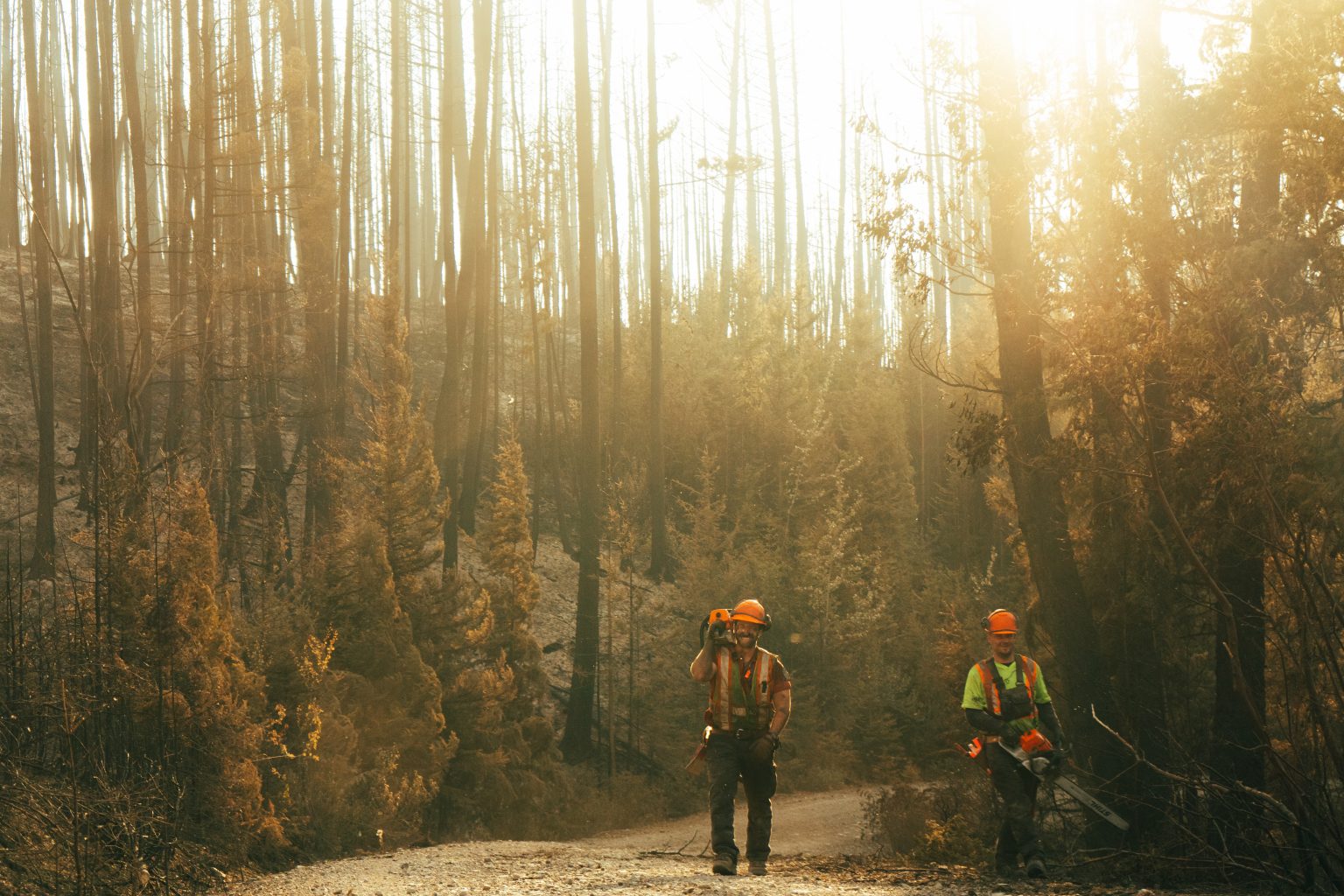 BC Wildfire Service – Page 2 – Government of British Columbia