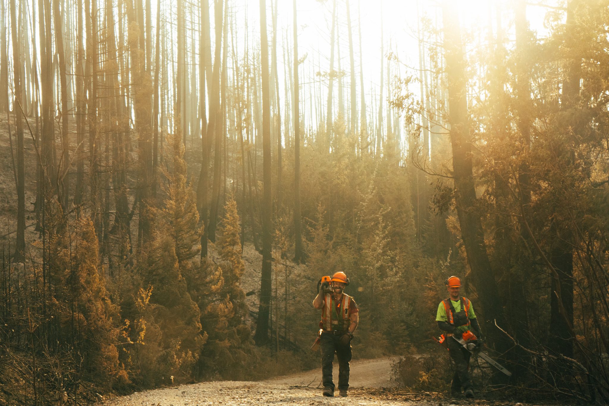 BC Wildfire Service – Page 2 – Government of British Columbia