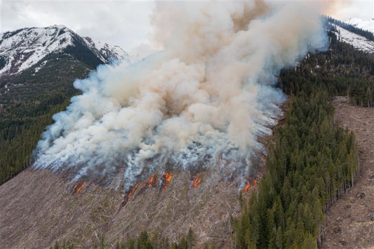 Modernizing the BC Wildfire Service – BC Wildfire Service