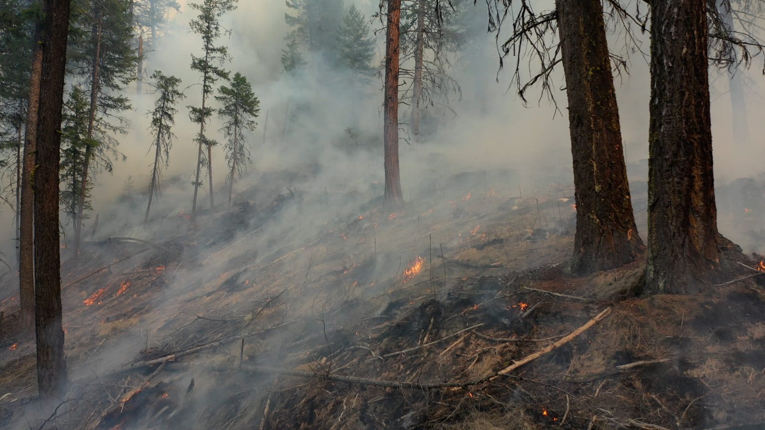 BC Wildfire Service – Government of British Columbia