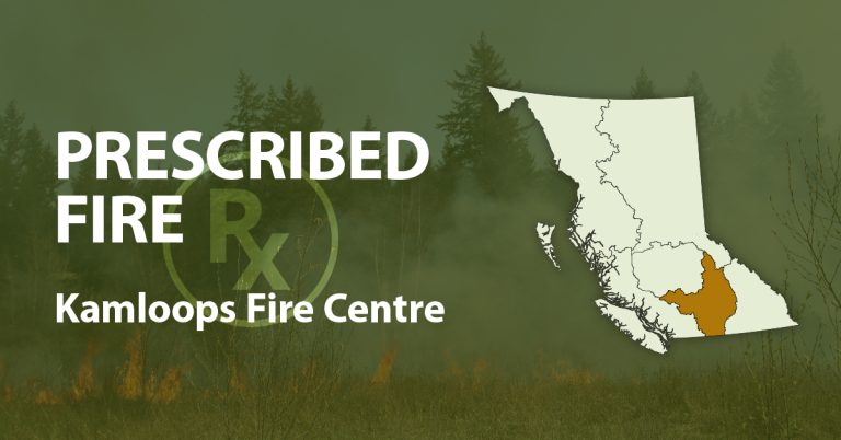 BC Wildfire Service – Government of British Columbia
