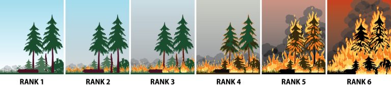 Direct vs. Indirect attack explained – BC Wildfire Service