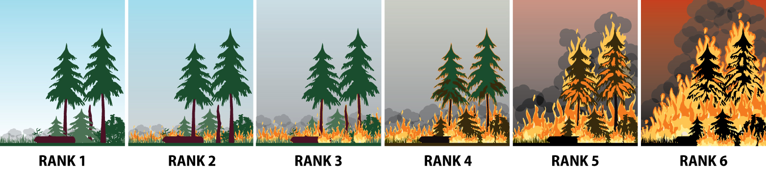 Direct vs. Indirect attack explained – BC Wildfire Service