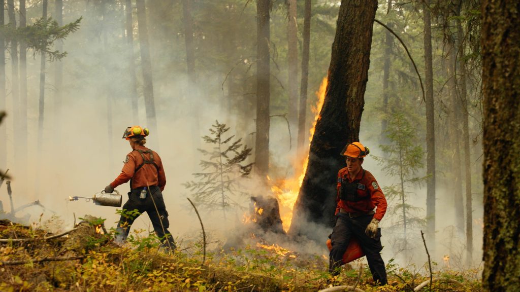 Provincial Wildfire Status Update – September 7, 2023 – BC Wildfire Service