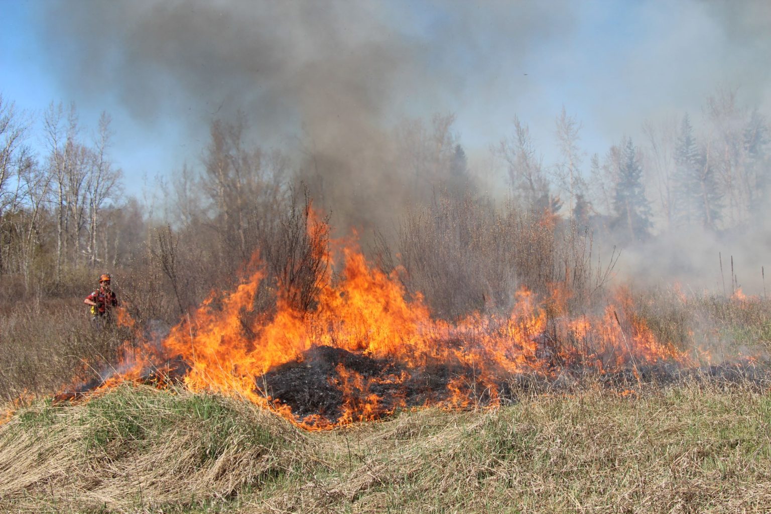 BC Wildfire Service – Government of British Columbia
