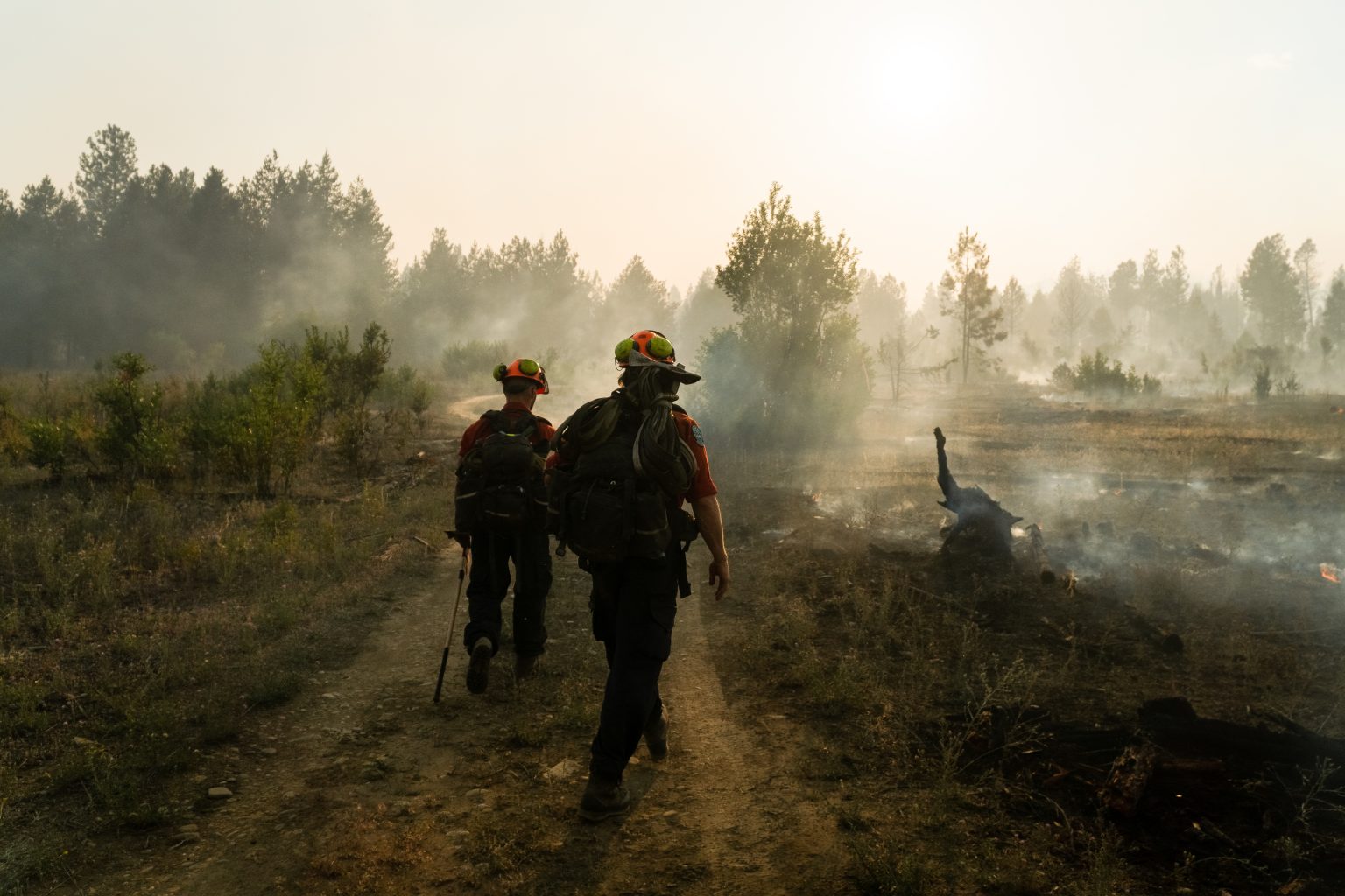 BC Wildfire Service – Government of British Columbia