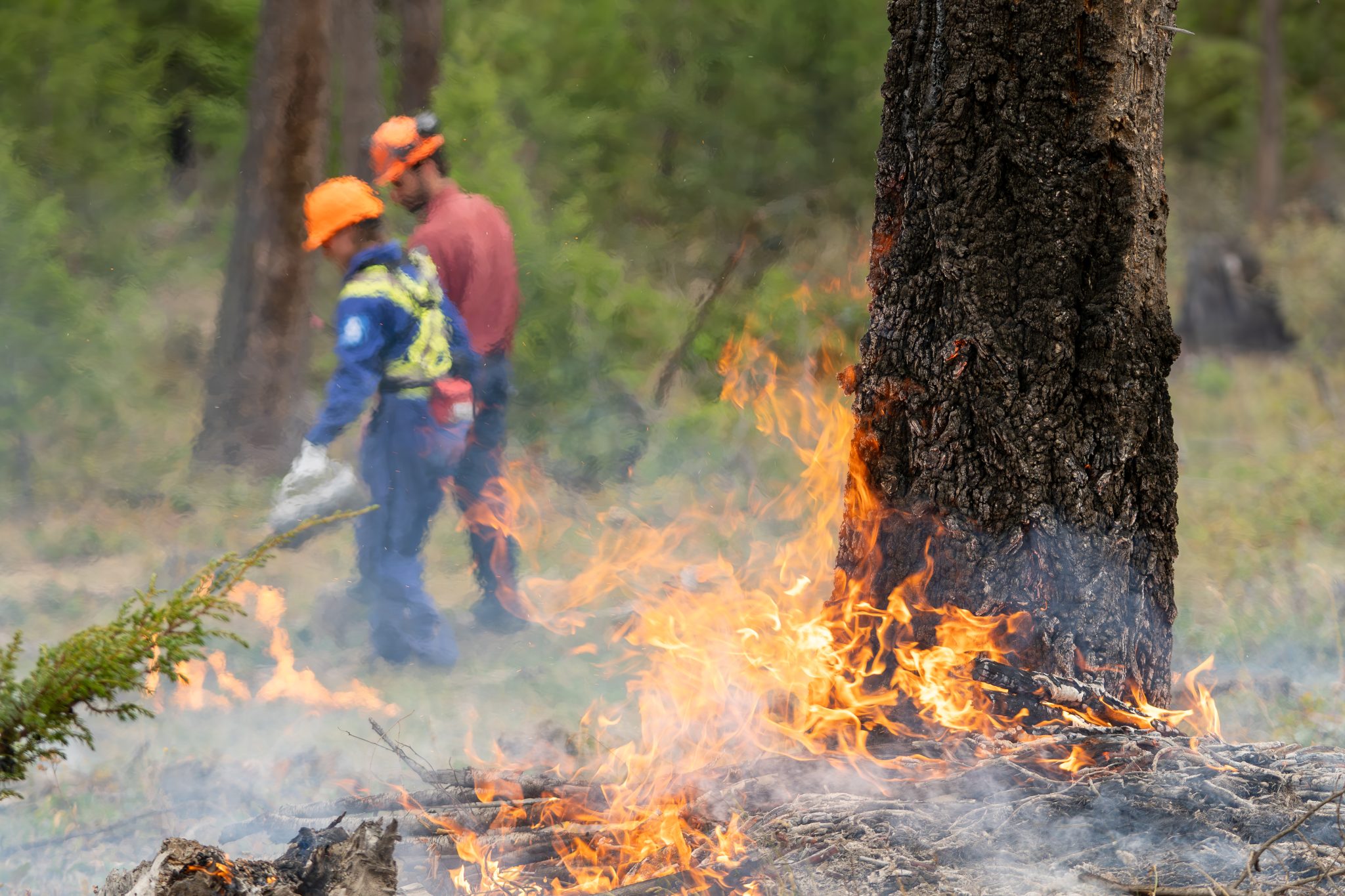 BC Wildfire Service – Government of British Columbia